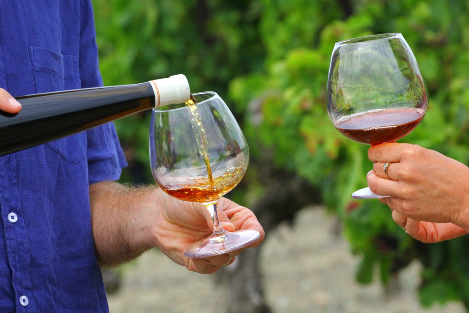 Quels sont les vins doux que vous devez avoir en cave et comment les ...